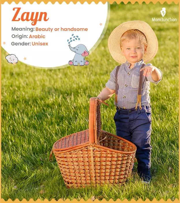 Zayn Name Meaning, Origin, History, And Popularity