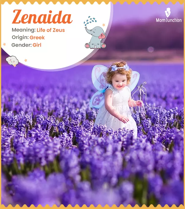 Zenaida Name Meaning, Origin, History, And Popularity