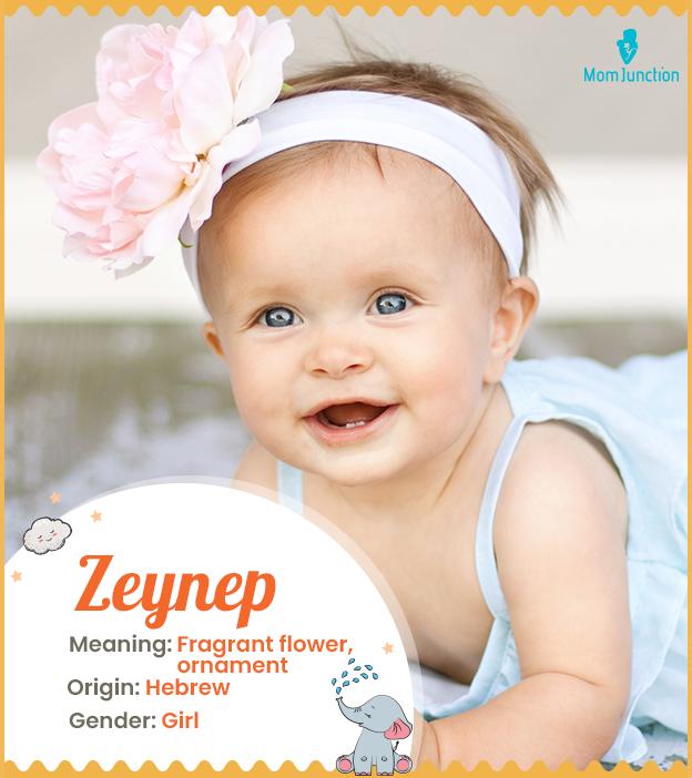 Zeynep Name Meaning Origin History And Popularity
