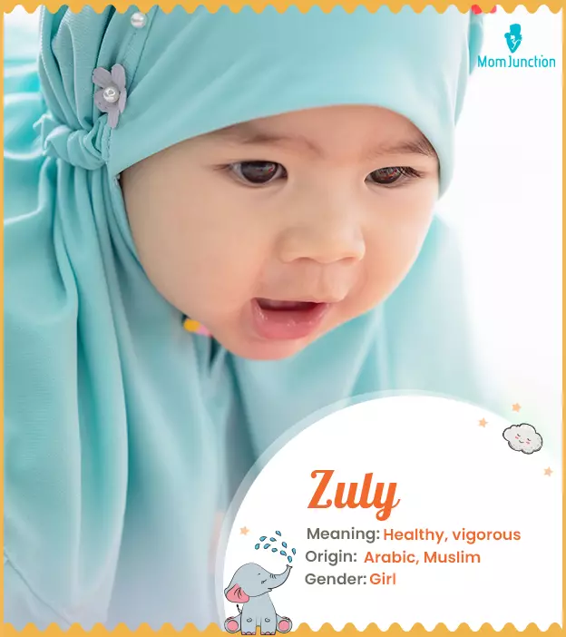 Zuly Name Meaning: Origin, History, And Usage | Complete Guide