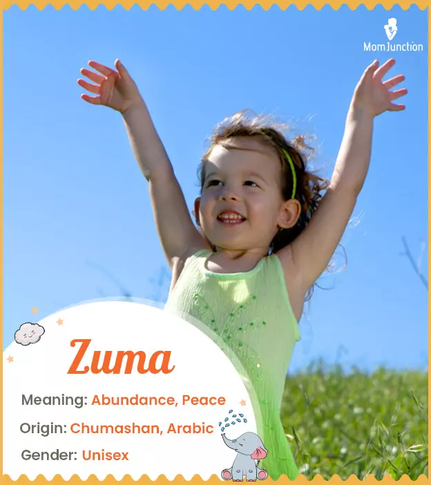 Explore Zuma: Meaning, Origin & Popularity