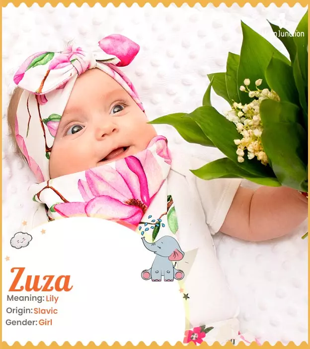 Zuza Name Meaning, Origin, History, And Popularity
