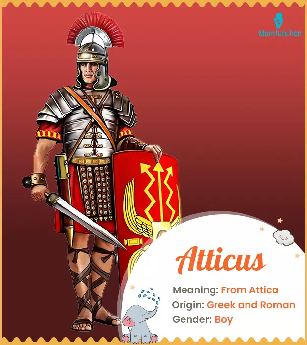 Atticus Name Meaning, Origin, History, And Popularity