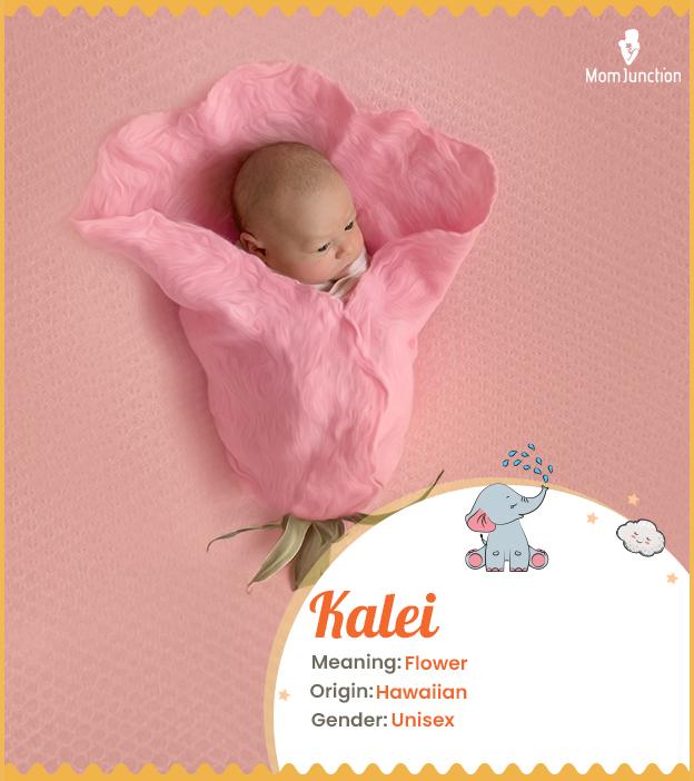 Kalei Name Meaning, Origin, History, And Popularity