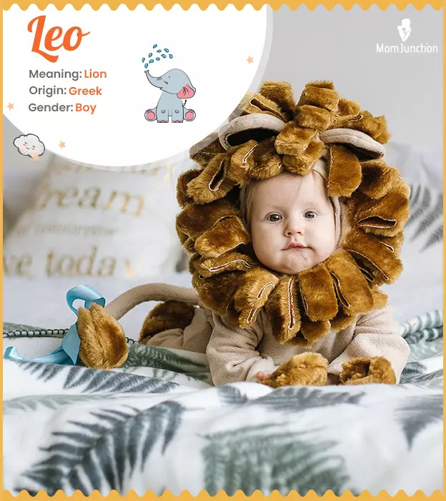 Leo: Name Meaning, Origin, History, And Popularity | MomJunction