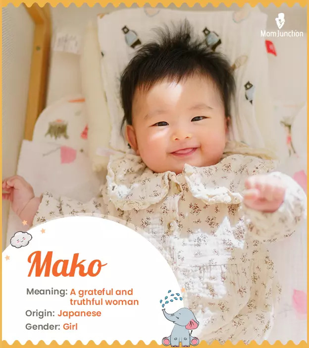 Mako Name, Meaning, Origin, History, And Popularity | MomJunction