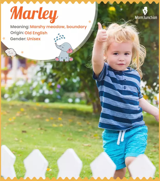 Marley Meaning, Origin, History, And Popularity | MomJunction