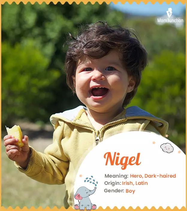 Nigel Name Meaning, Origin, History, And Popularity