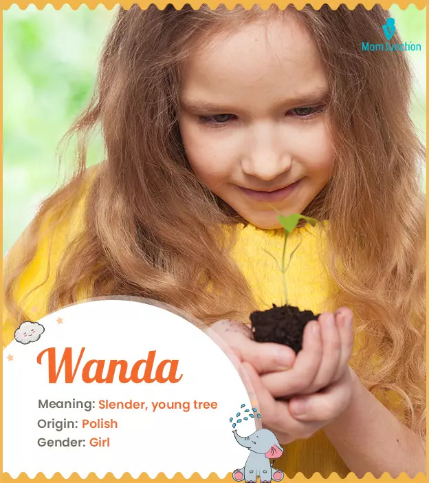 Wanda Name Meaning, Origin, History, And Popularity