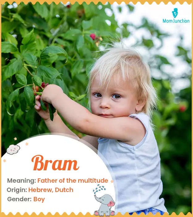Bram Name Meaning, Origin, History, and Popularity