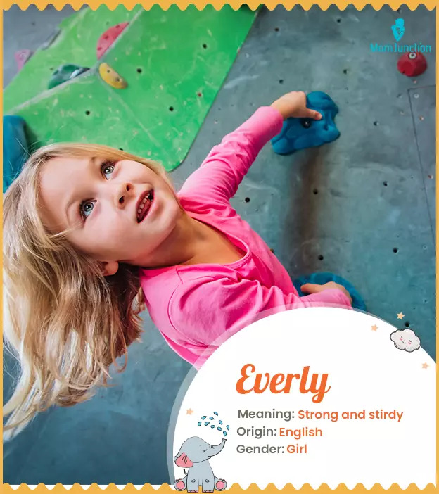 Everly Name Meaning, Origin, History, And Popularity