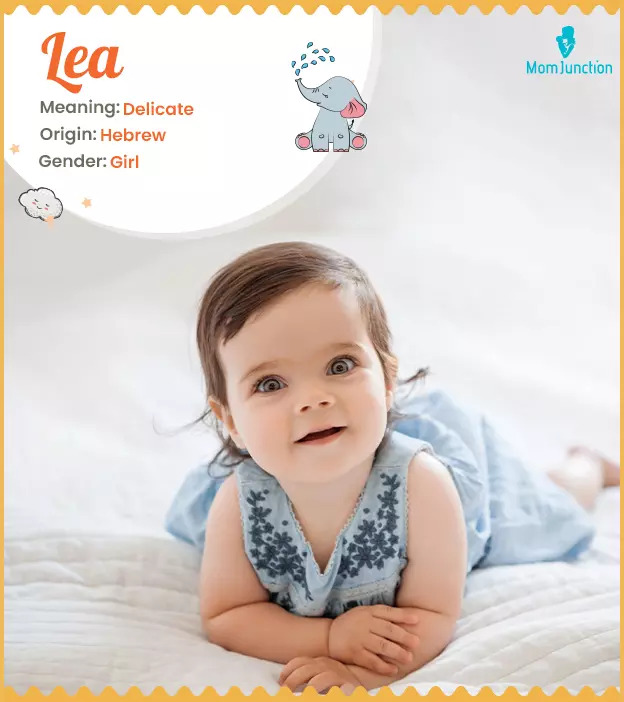 Lea Name Meaning Origin History And Popularity lea-name-meaning-origin-history-and-popularity
