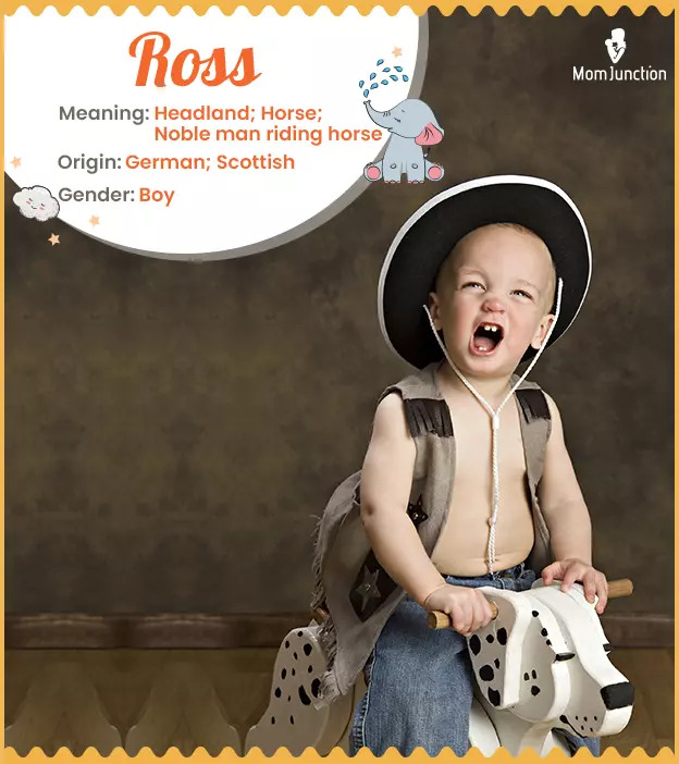 Ross: Name Meaning, Origin, History, and Popularity