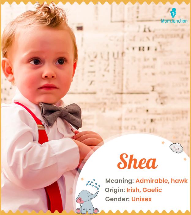 Shea Name Meaning, Origin, History, And Popularity | MomJunction