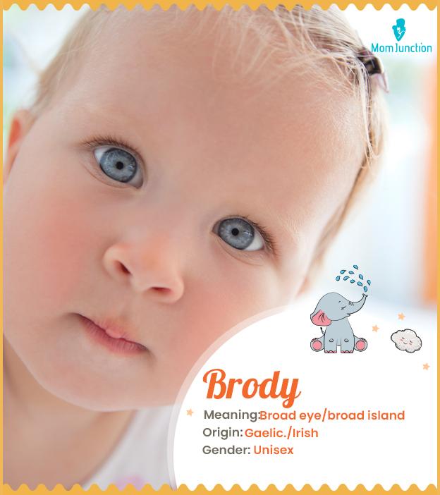 Brody Name Meaning, Origin, History, And Popularity