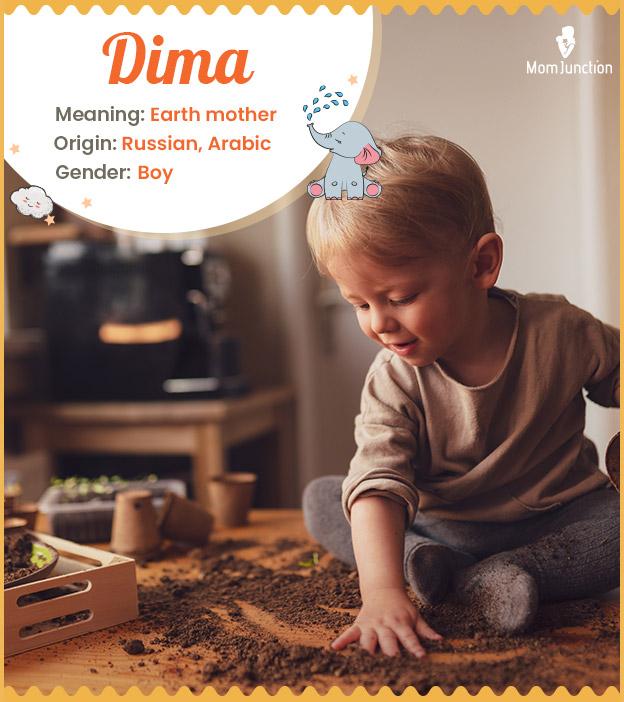 Dima Name Meaning, Origin, History, And Popularity | MomJunction