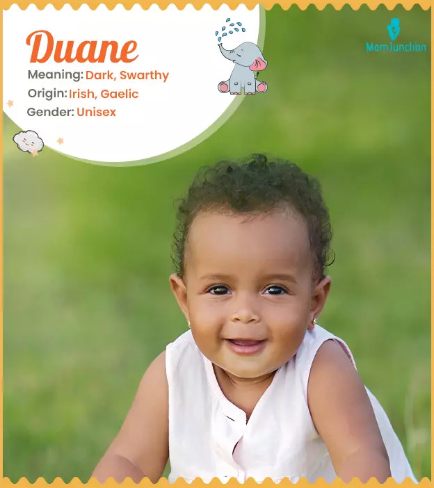 Duane Name Meaning, Origin, History, And Popularity | MomJunction