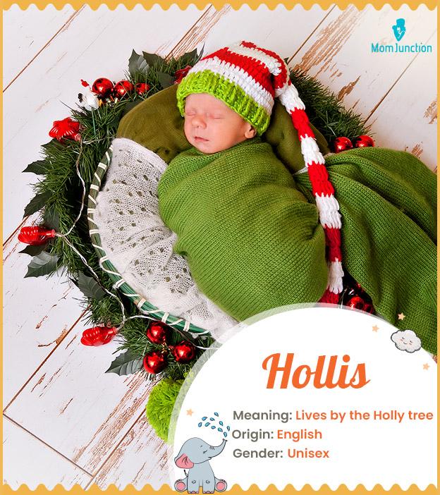 Hollis Meaning, Origin, History, And Popularity