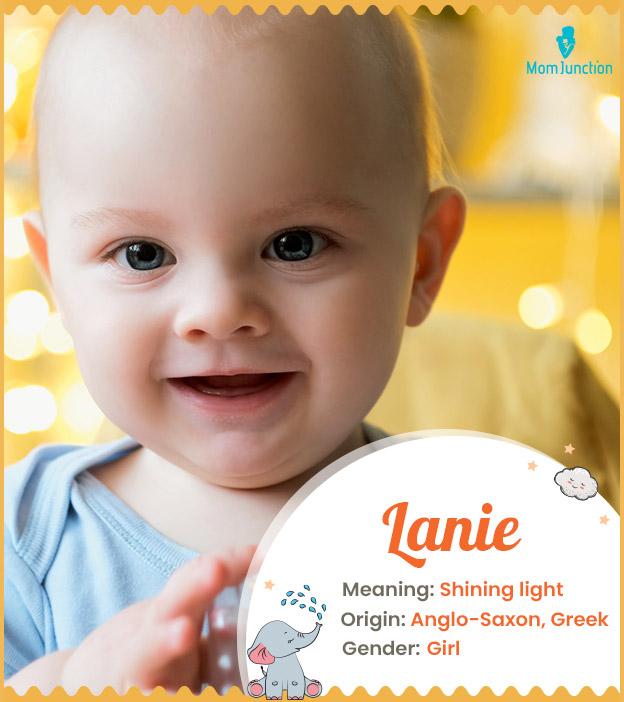 lanie: Name Meaning, Origin, History, And Popularity | MomJunction