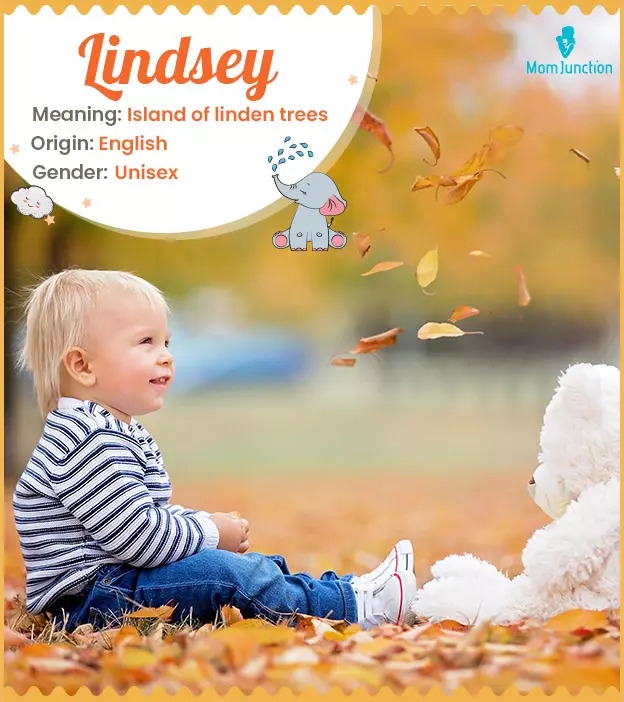 Lindsey Name Meaning, Origin, History, And Popularity