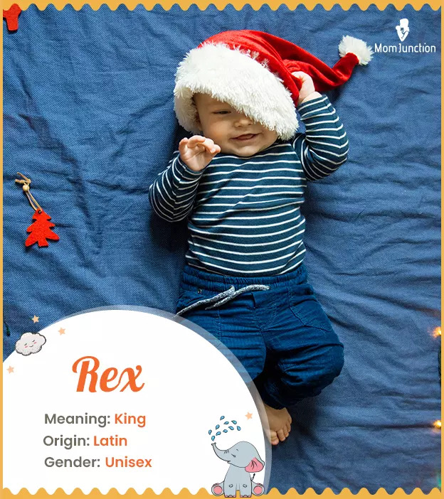 Rex Name, Origin, Meaning, And History