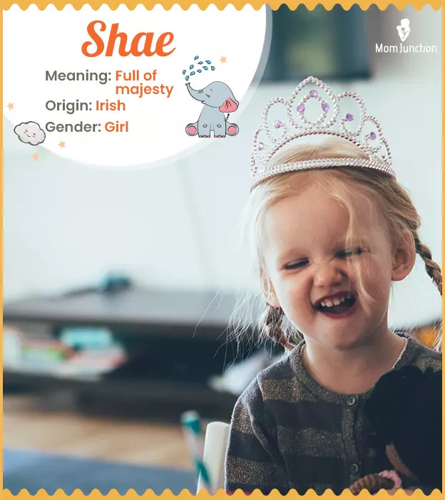 Shae Name, Origin, Meaning, And History | MomJunction