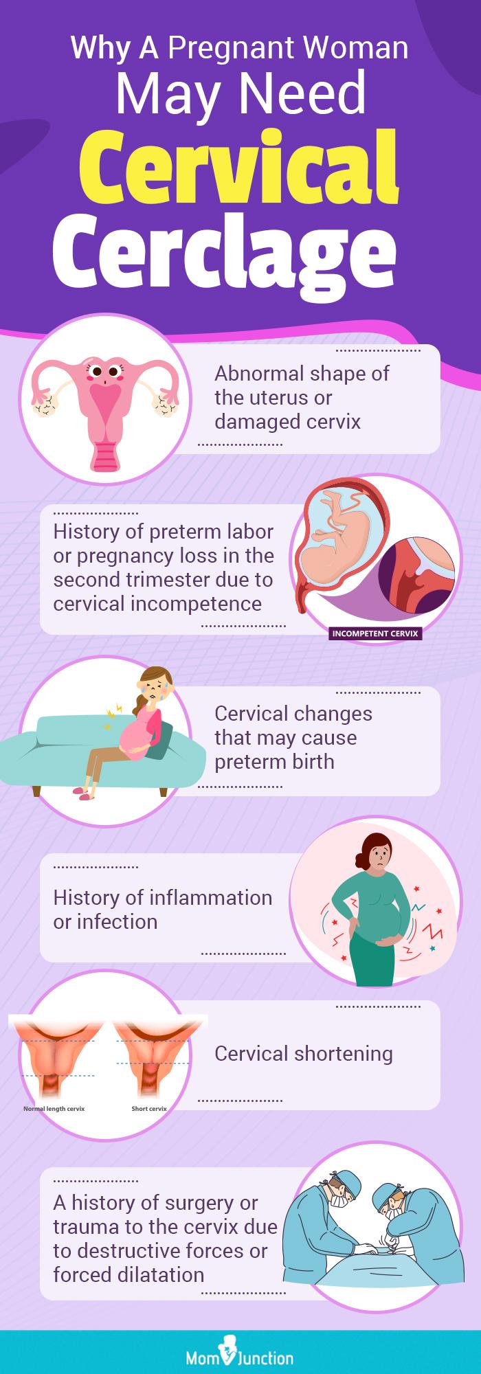 Inside The Cervix When Pregnant