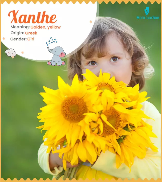 Xanthe Name, Origin, Meaning, History And Popularity