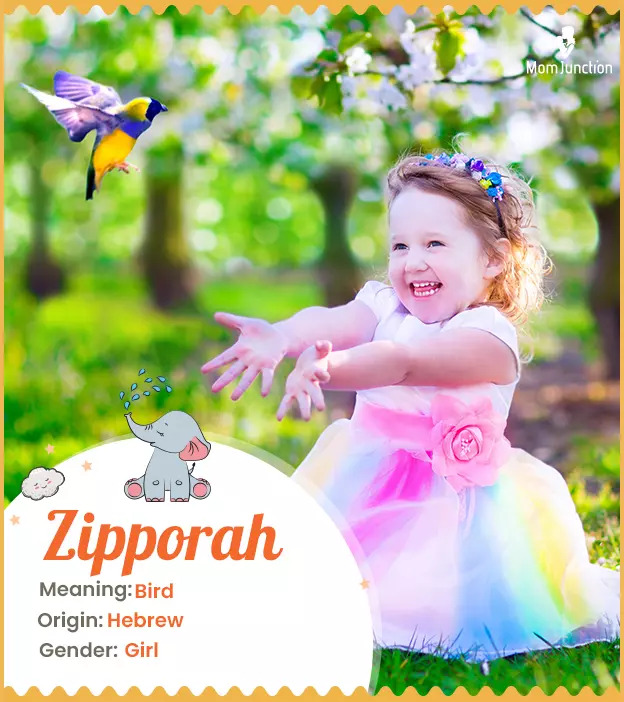 Zipporah Meaning, History, Origin And Popularity
