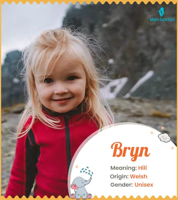 Bryn Name Meaning, Origin, History, And Popularity | MomJunction