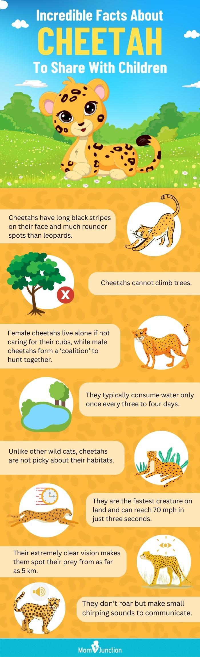 Cool Facts About Life
