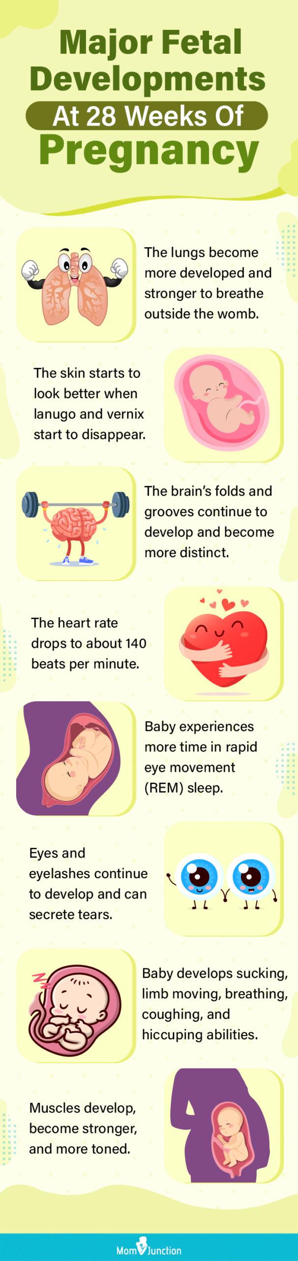 28 Weeks Pregnant: Symptoms, Baby Development And Changes