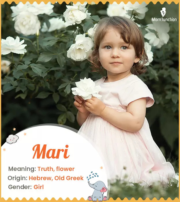 Mari Name Meaning, Origin, History, And Popularity | MomJunction
