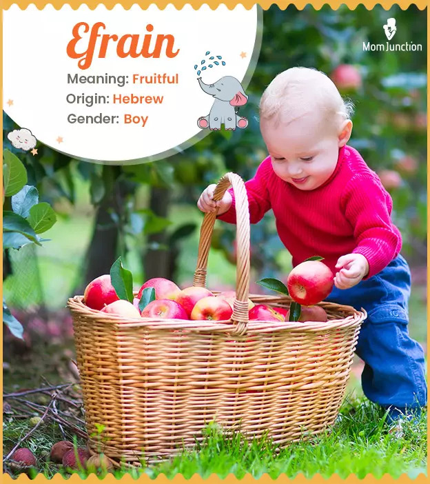 efrain: Name Meaning, Origin, History, And Popularity | MomJunction