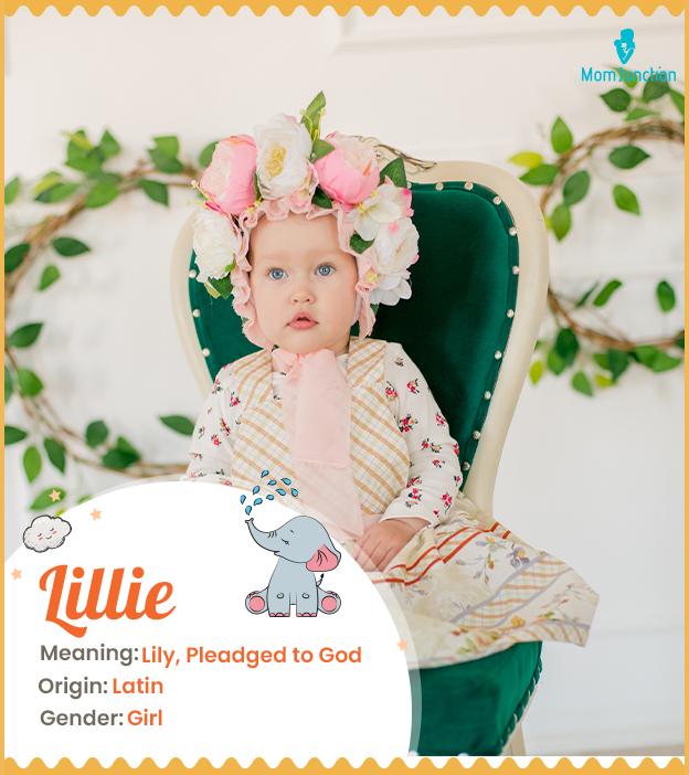 Lillie Name Meaning, Origin, History, And Popularity