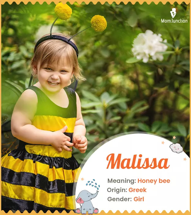 Malissa Name Meaning, Origin, History, And Popularity | MomJunction