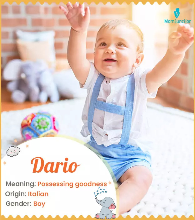 Dario Name Meaning, Origin, History, And Popularity | MomJunction