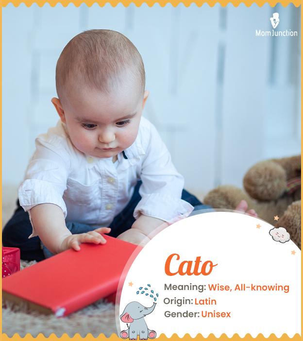 Cato Name Meaning, Origin, History, And Popularity | MomJunction