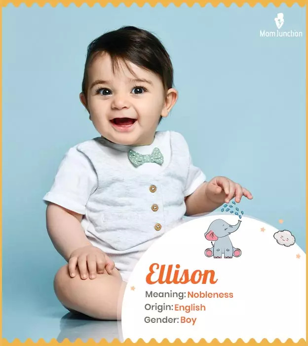 Ellison Name, Meaning, Origin, History And Popularity