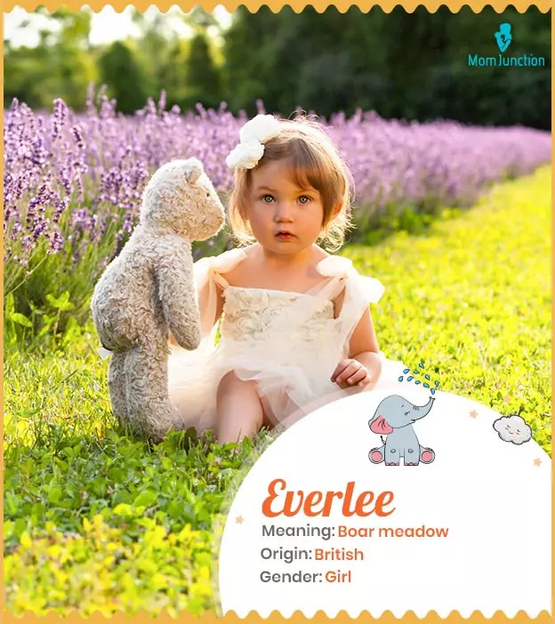 Everlee Name Meaning, Origin, History, And Popularity