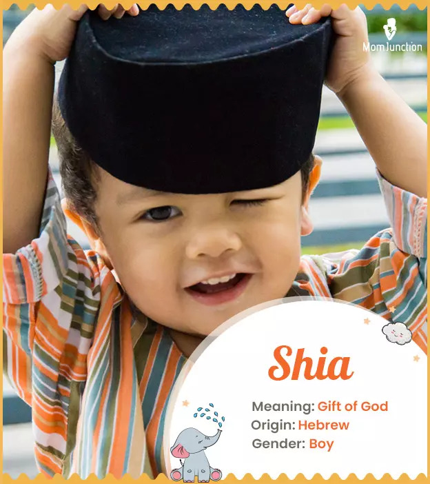 Shia Name Meaning, Origin, History, And Popularity | MomJunction