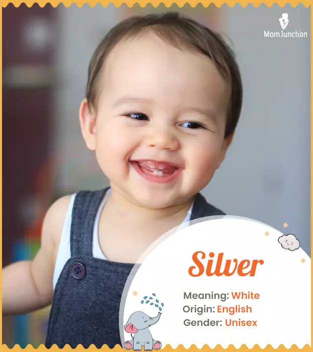 Silver Name Meaning, Origin, History, And Popularity