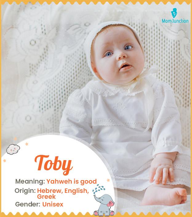Toby Name, Meaning, Origin, History, And Popularity