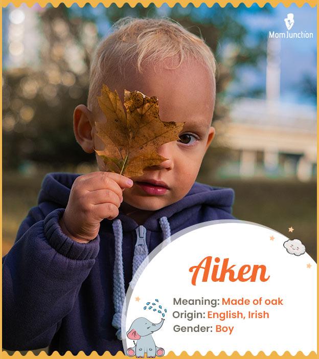 Aiken Baby Name: Meaning, Origin, Popularity