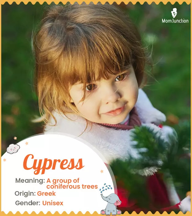 Baby Name Cypress: Meaning, Origin, History, And Popularity | MomJunction