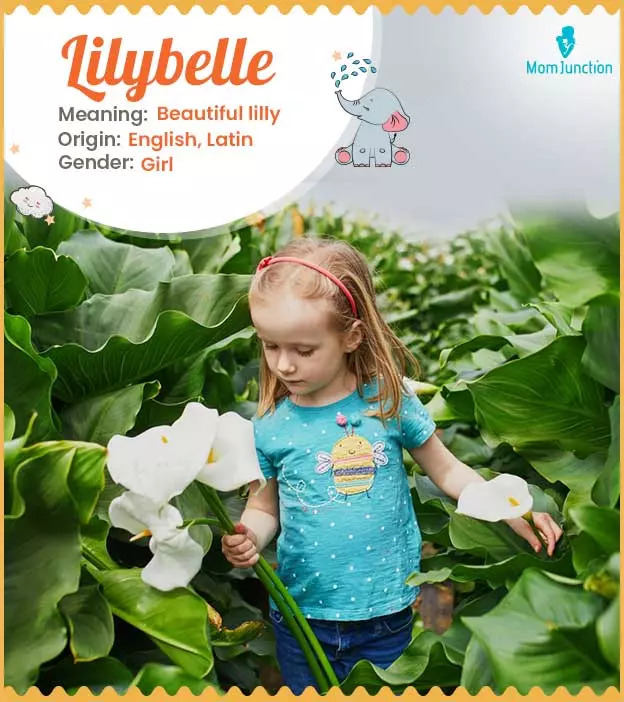 Explore Lilybelle: Meaning, Origin & Popularity | MomJunction