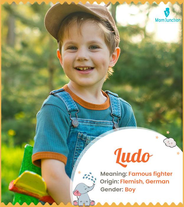 Ludo Name Meaning, Origin, History, And Popularity | MomJunction