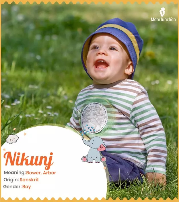 Explore Nikunj: Meaning, Origin & Popularity | MomJunction