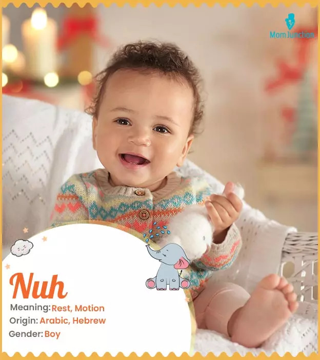 Nuh Name Meaning, Origin, History, And Popularity | MomJunction