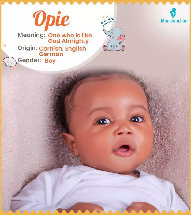 Opie Name Meaning, Origin, History, And Popularity | MomJunction
